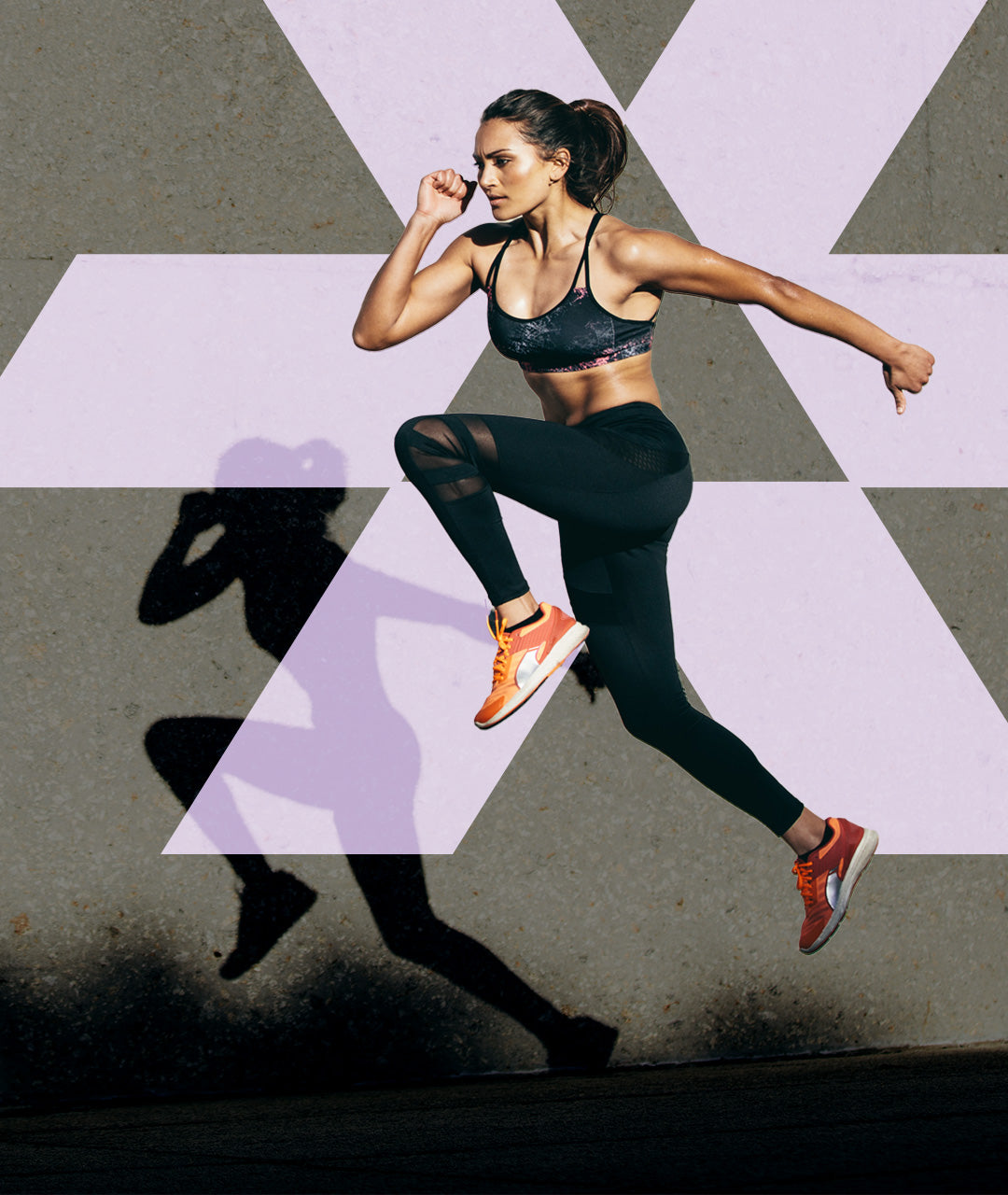 Agoge – Agoge Universal Hemp Protein™ – Agoge™